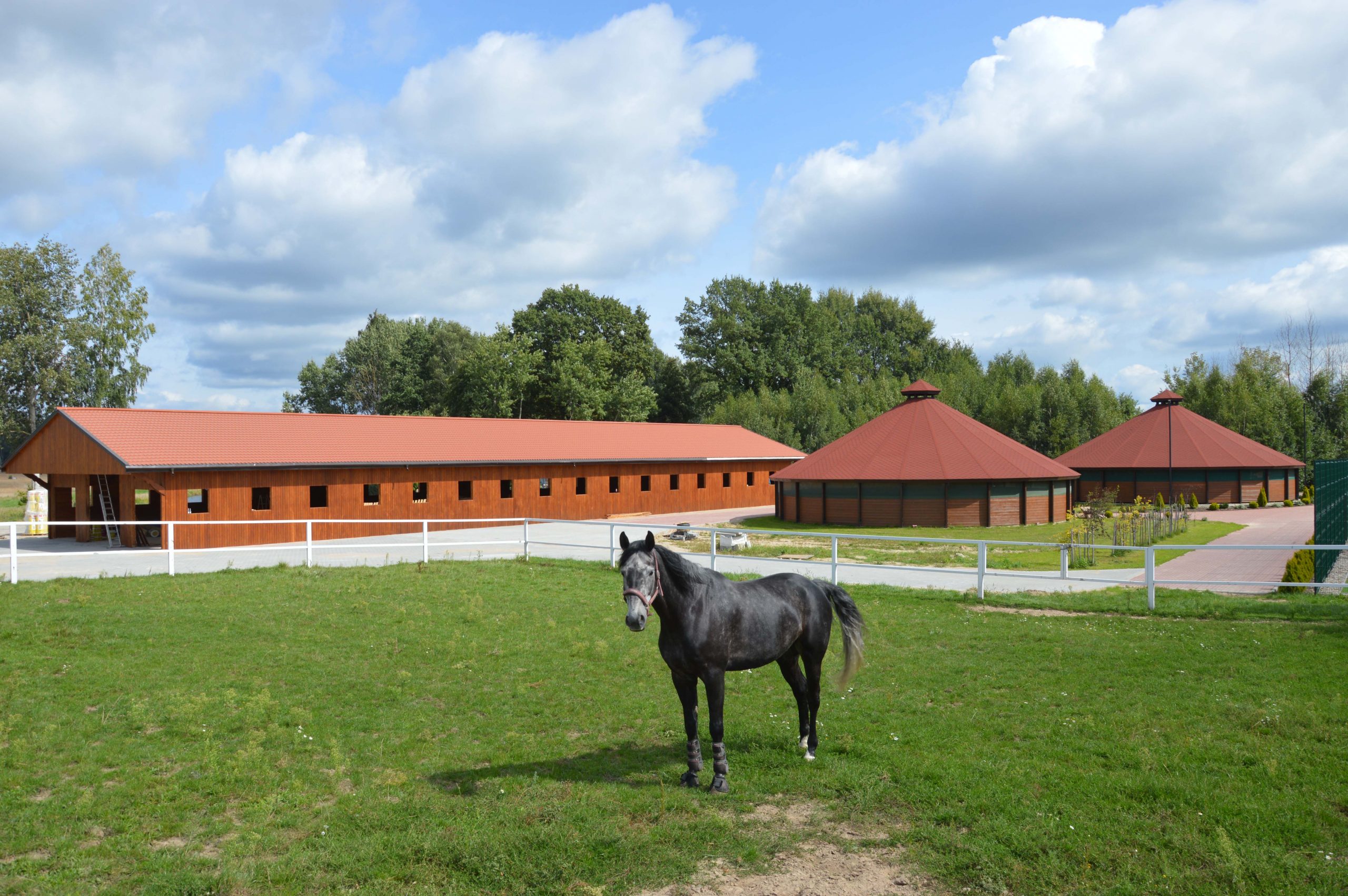 Stajnie - OL-JAN Producent boksów dla koni, stajni, lonżowników, karuzeli